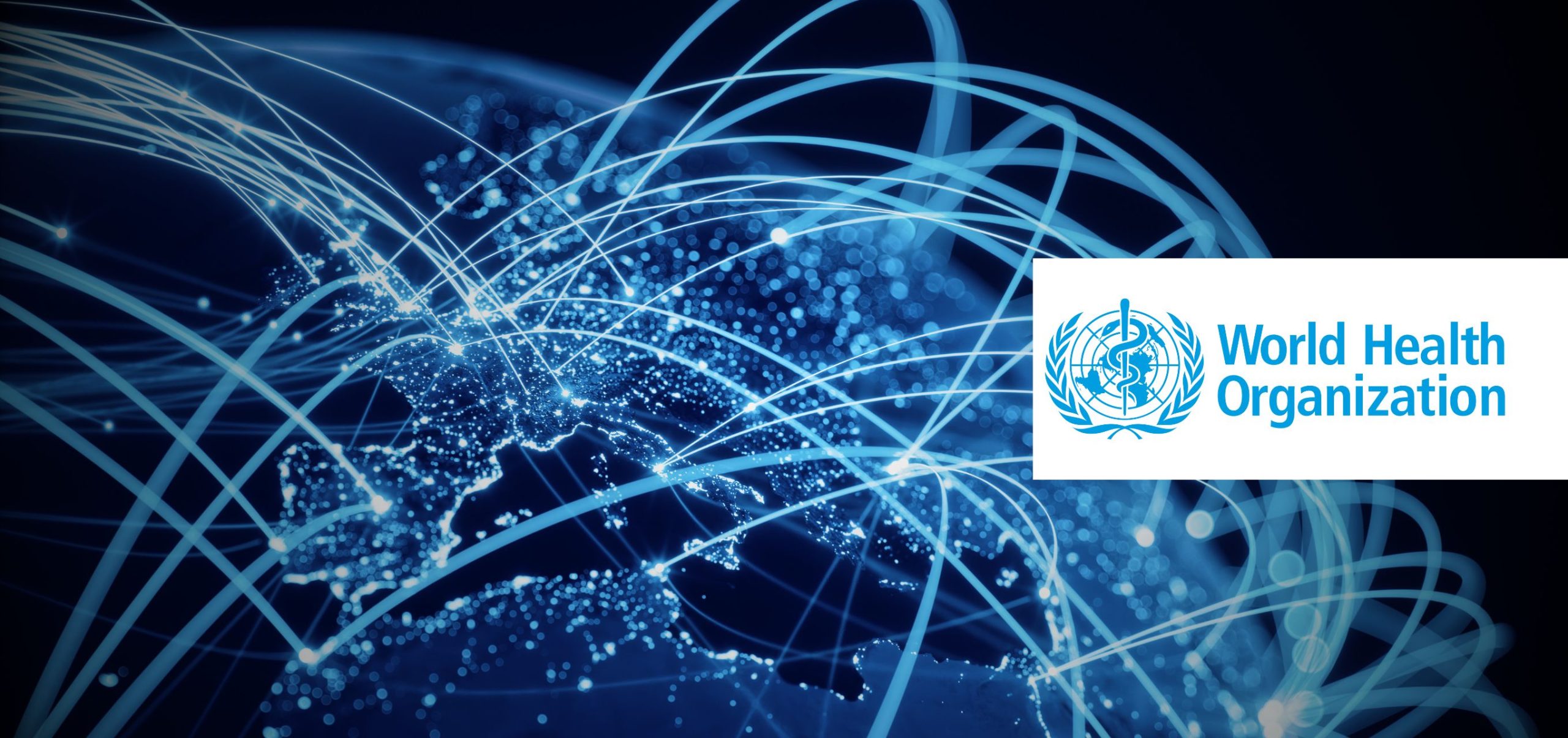 Exploring the Digital Health Landscape in the WHO European Region ...